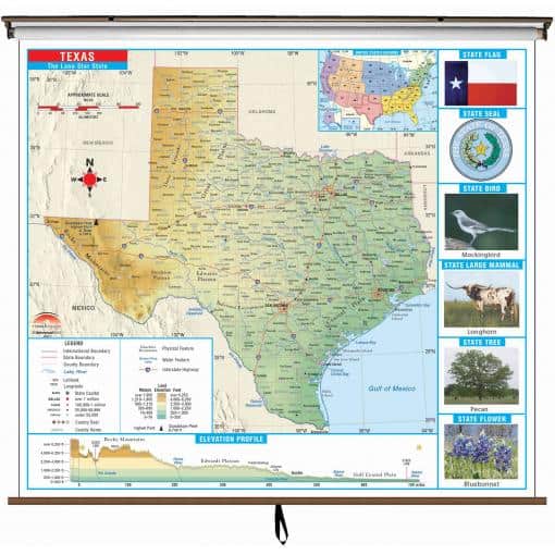 Texas Primary Thematic State Wall Map by Kappa - The Map Shop