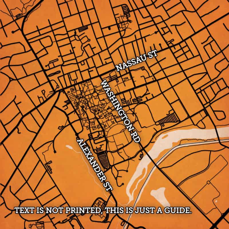 Princeton University Campus Map Art by City Prints - The Map Shop